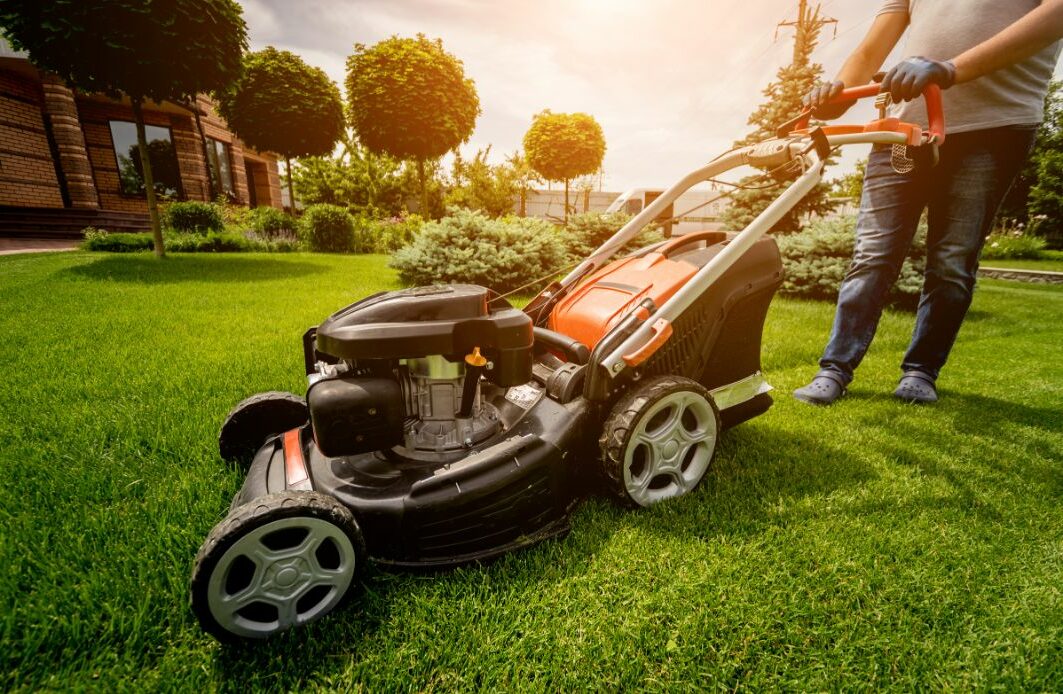 Toutes marques de tondeuses à Auch chez Ets Alem J.L